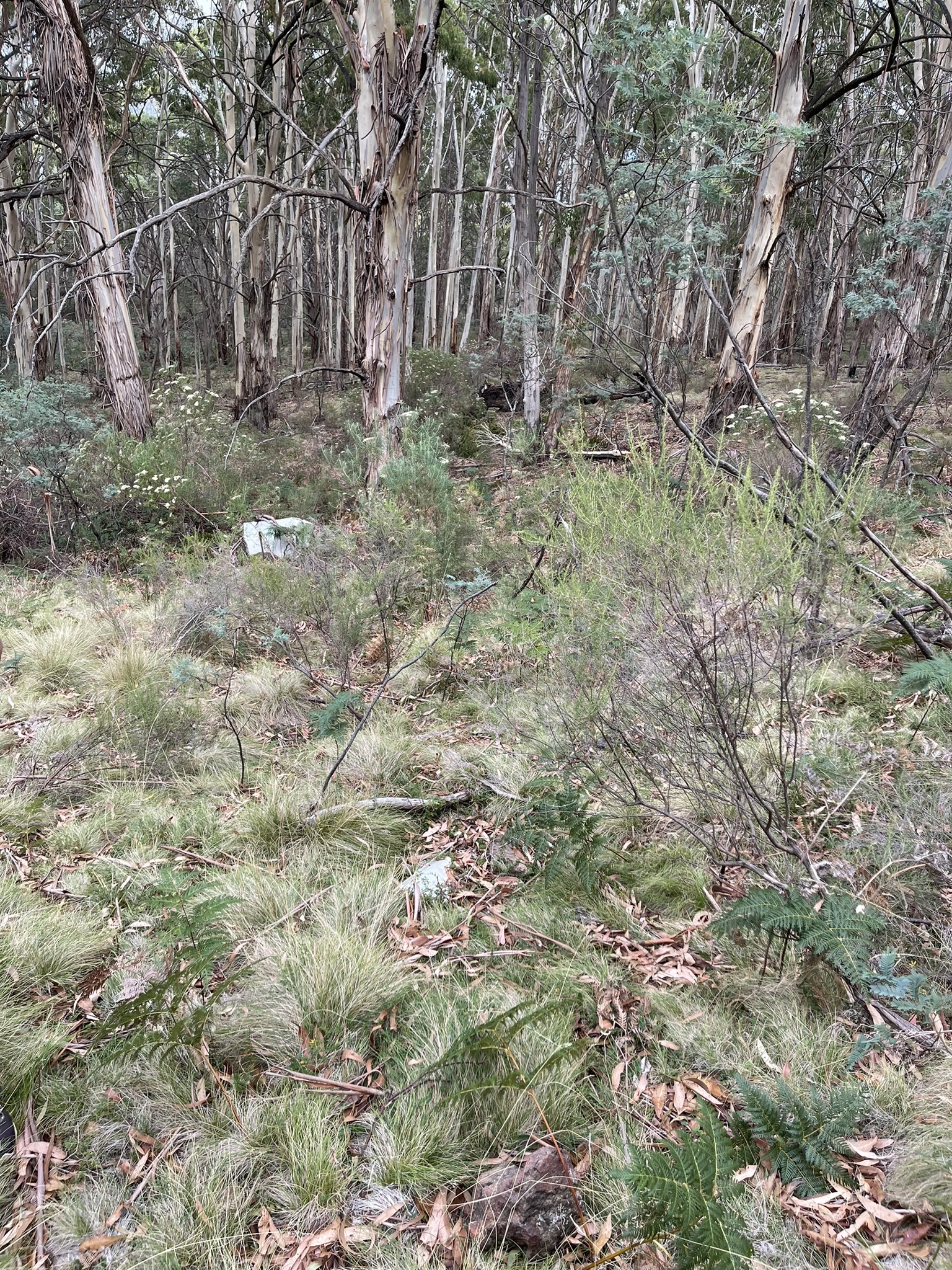 2025-03-16 Washing machine – Orange Field Naturalist & Conservation ...